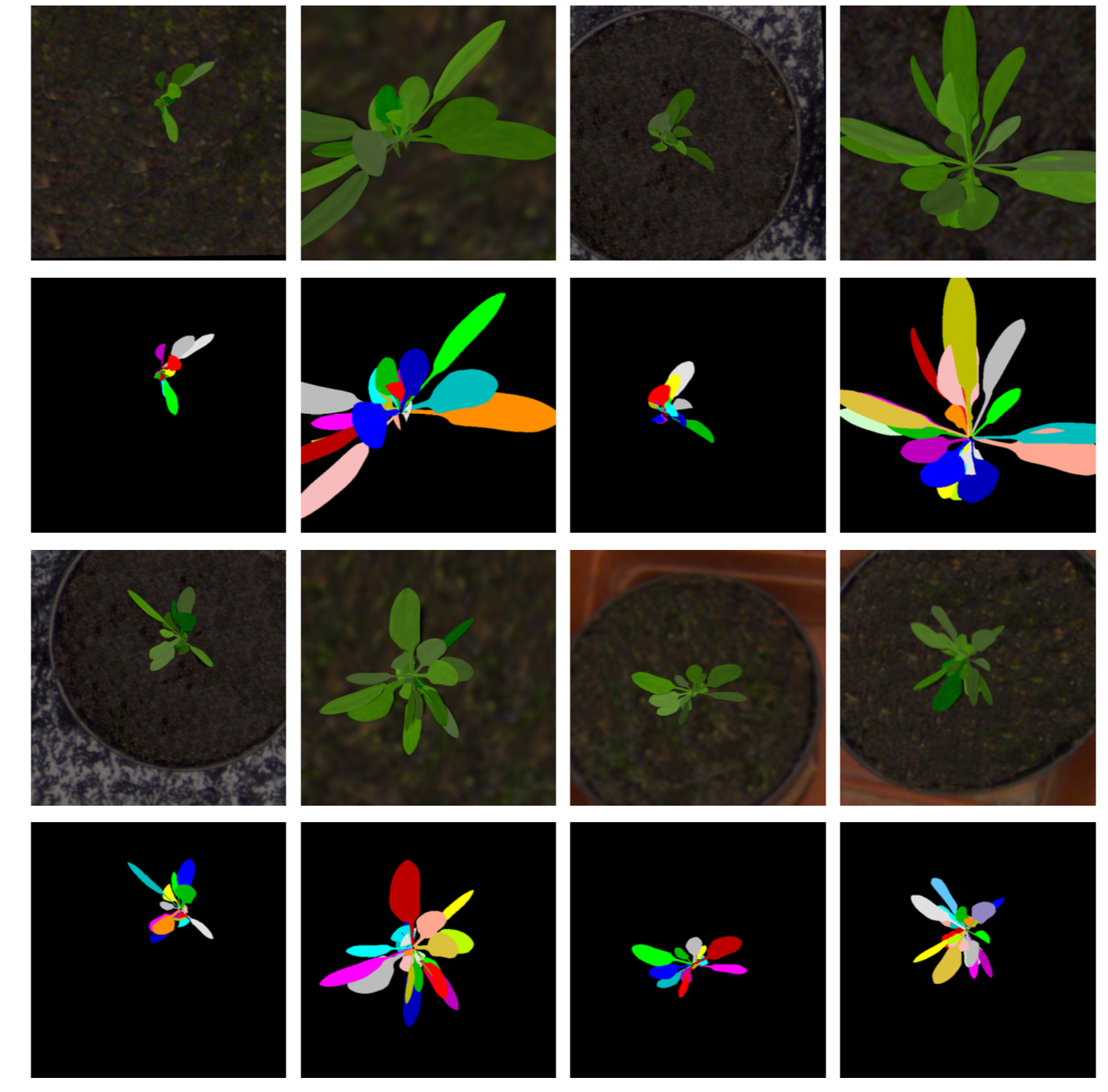 Synthetic Arabidopsis Dataset – Robotics